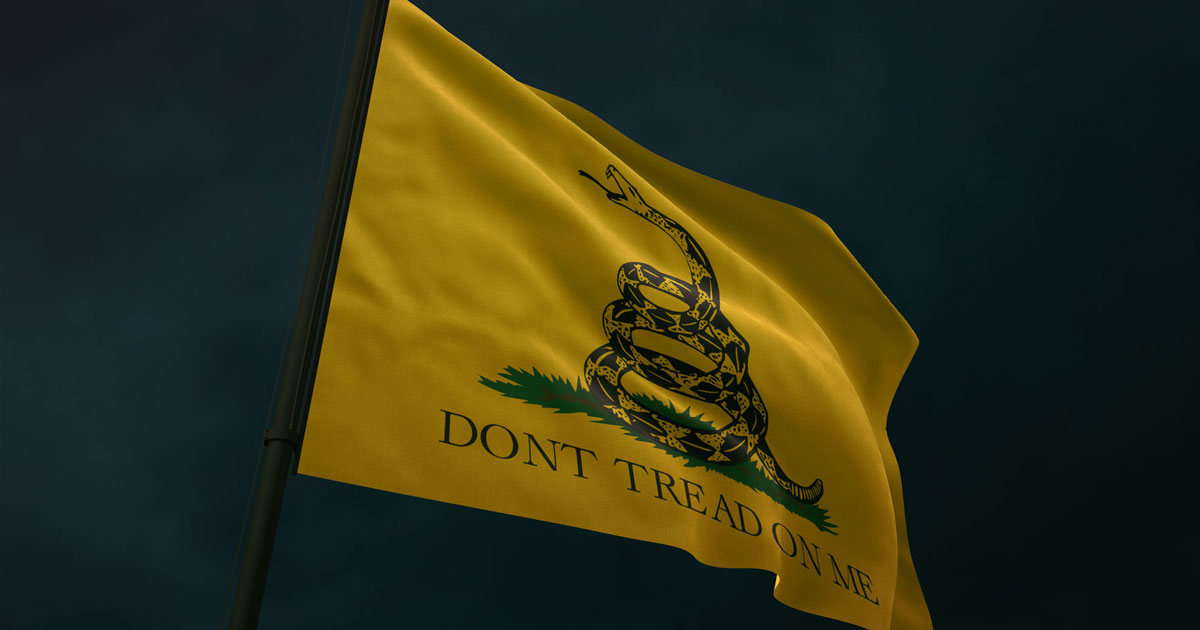 Fahnen — AnKap.store